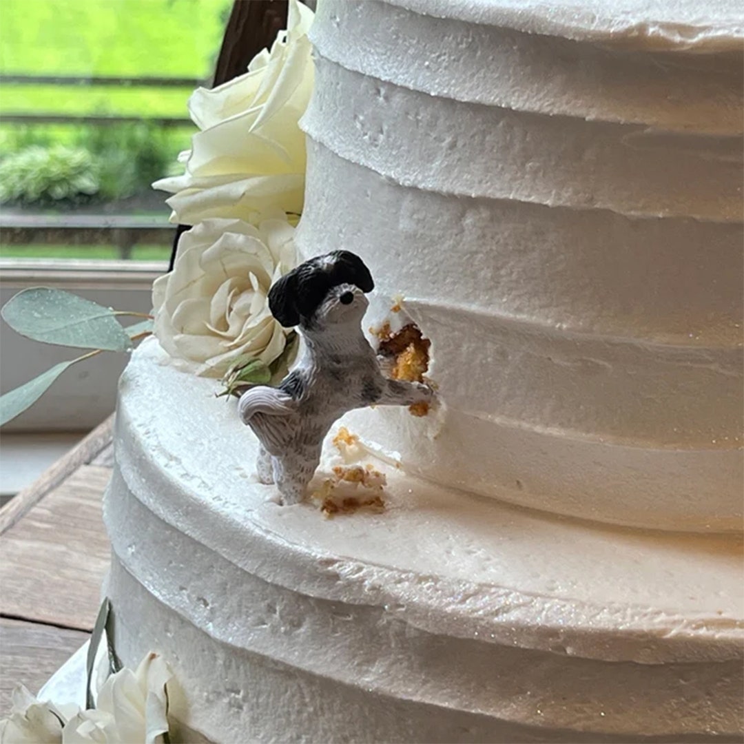 Custom Wedding Dog Cake Topper ,personalised Dog Birthday Gift,pet Cake ...