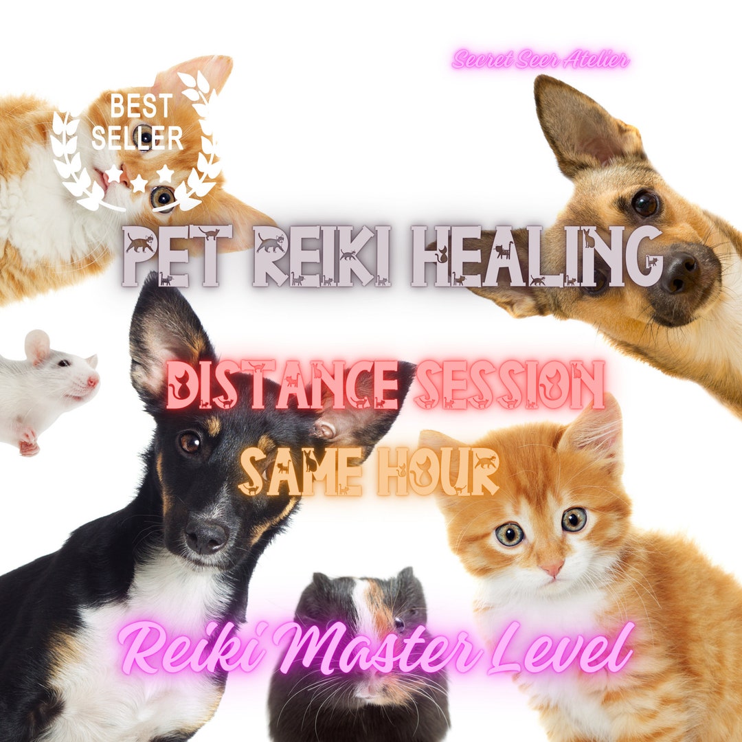 Pet Wellness Elevated: Dive Into the Magic of Animal Reiki Healing ...