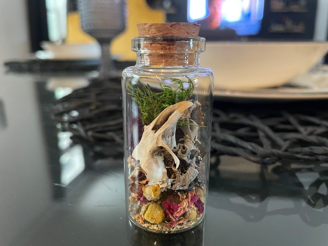 Oddity Terrarium Jars With 3d Printed Cases! - Etsy