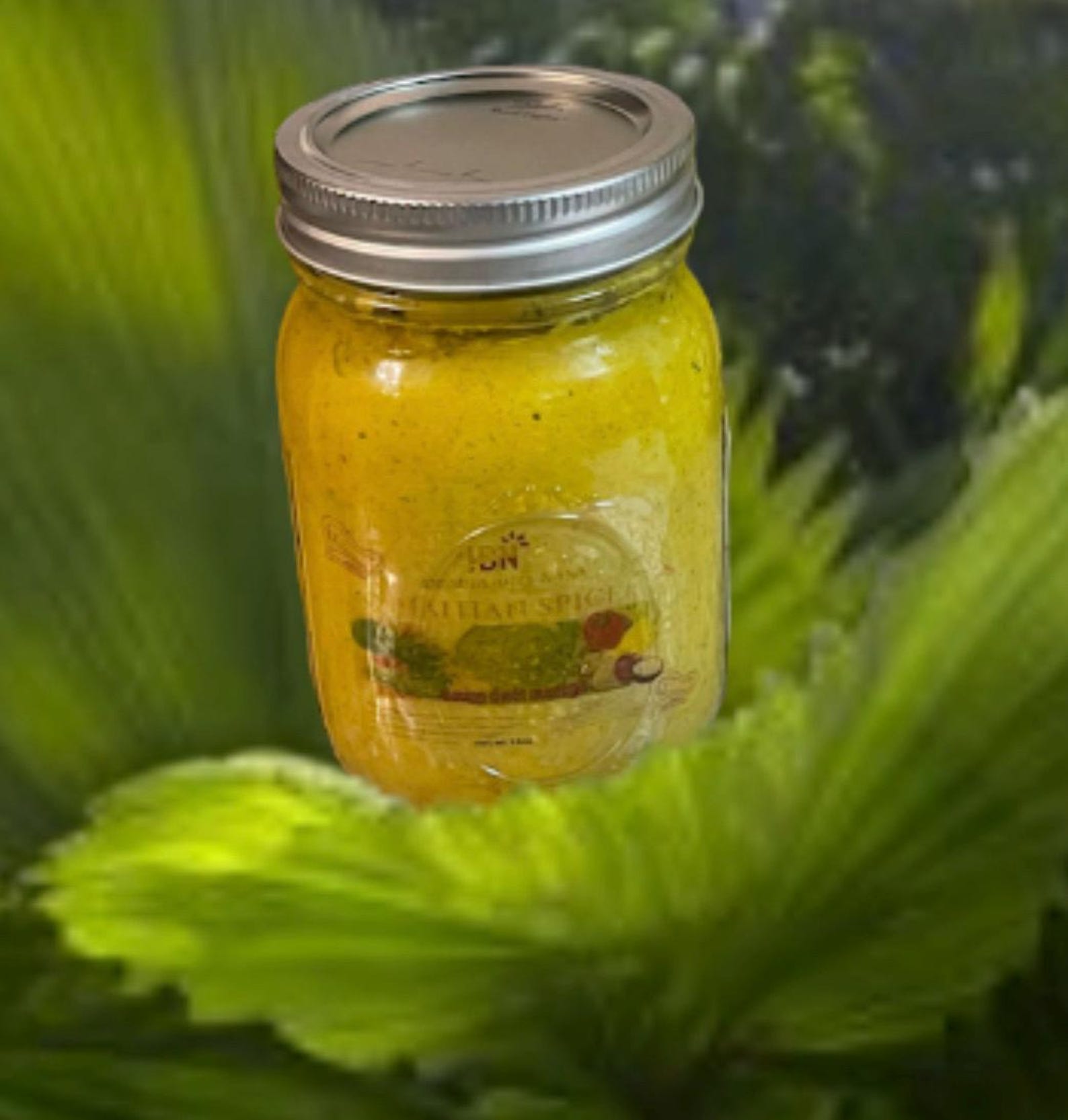 Haitian Epis Seasoning Traditional All Purpose Dishes Perfect Marinade ...