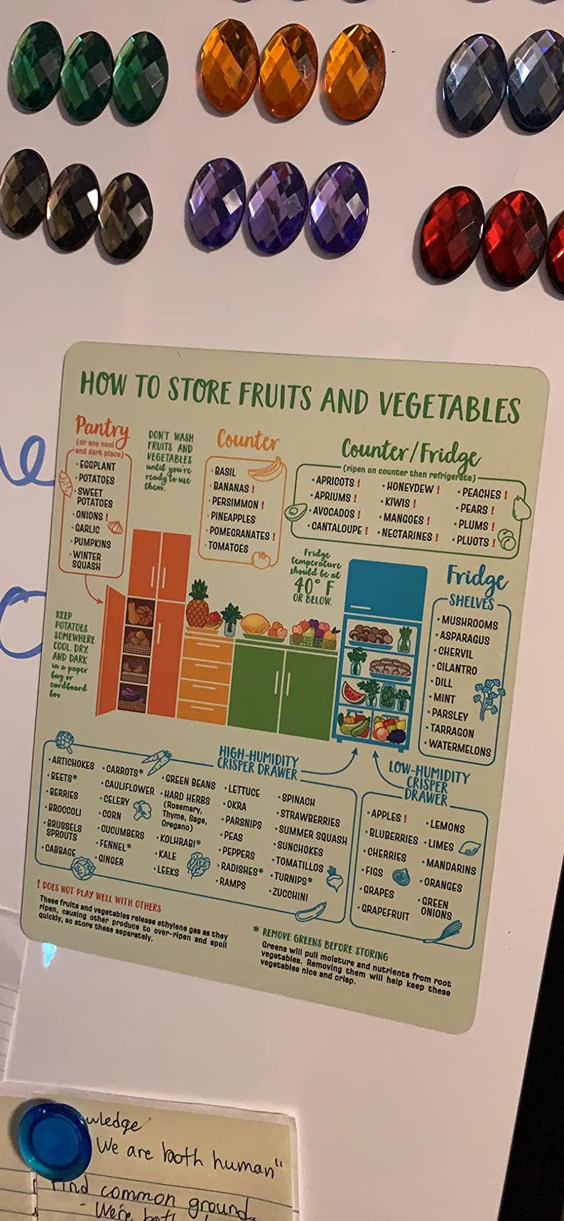 Fruit and Veggie Freshness Chart for Organized, Eco-friendly Kitchens ...