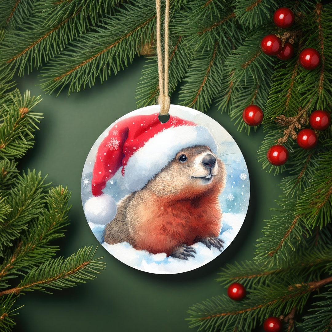 Personalized Groundhog Holiday Metal Ornament - Etsy