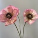 Set of 3 Handmade | MADE TO ORDER | Hand Dyed, Pink, Crepe Paper Poppy ...