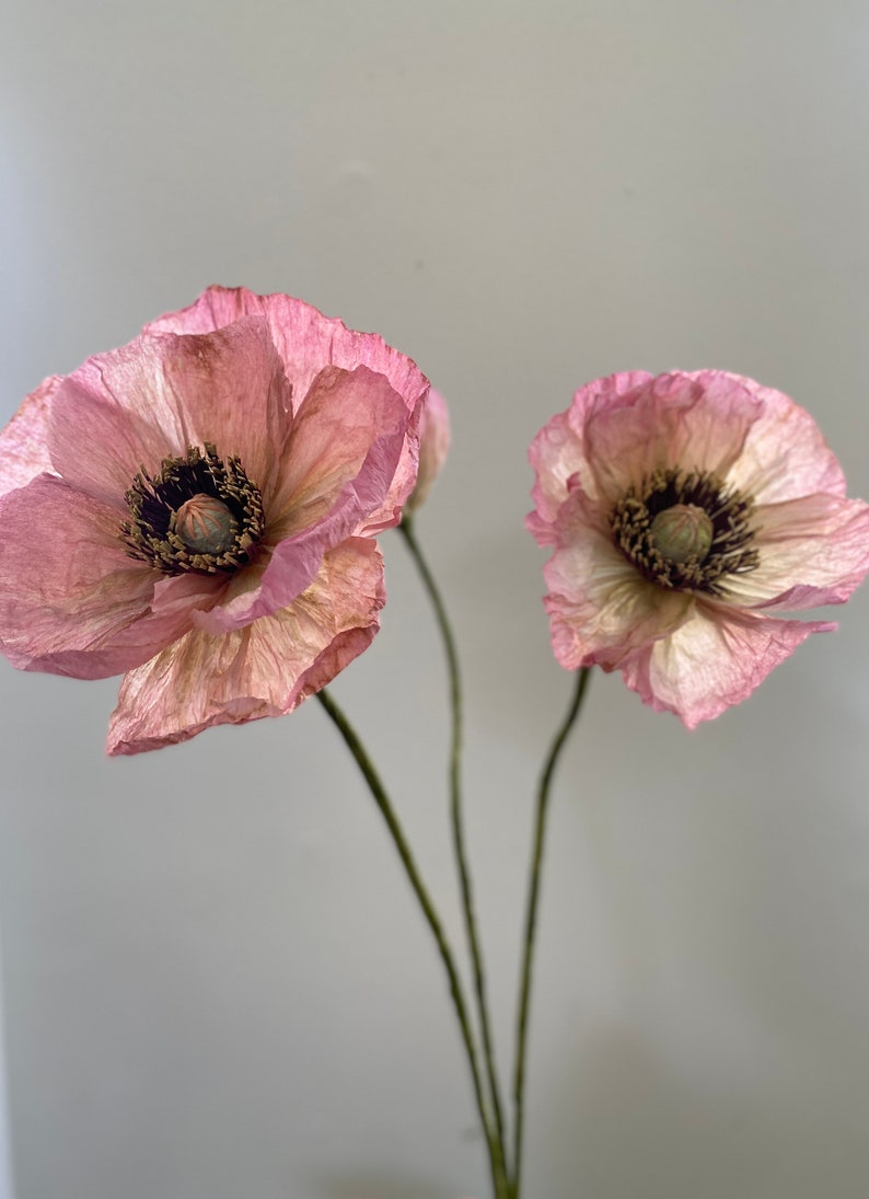 Set of 3 Handmade | MADE TO ORDER | Hand Dyed, Pink, Crepe Paper Poppy ...