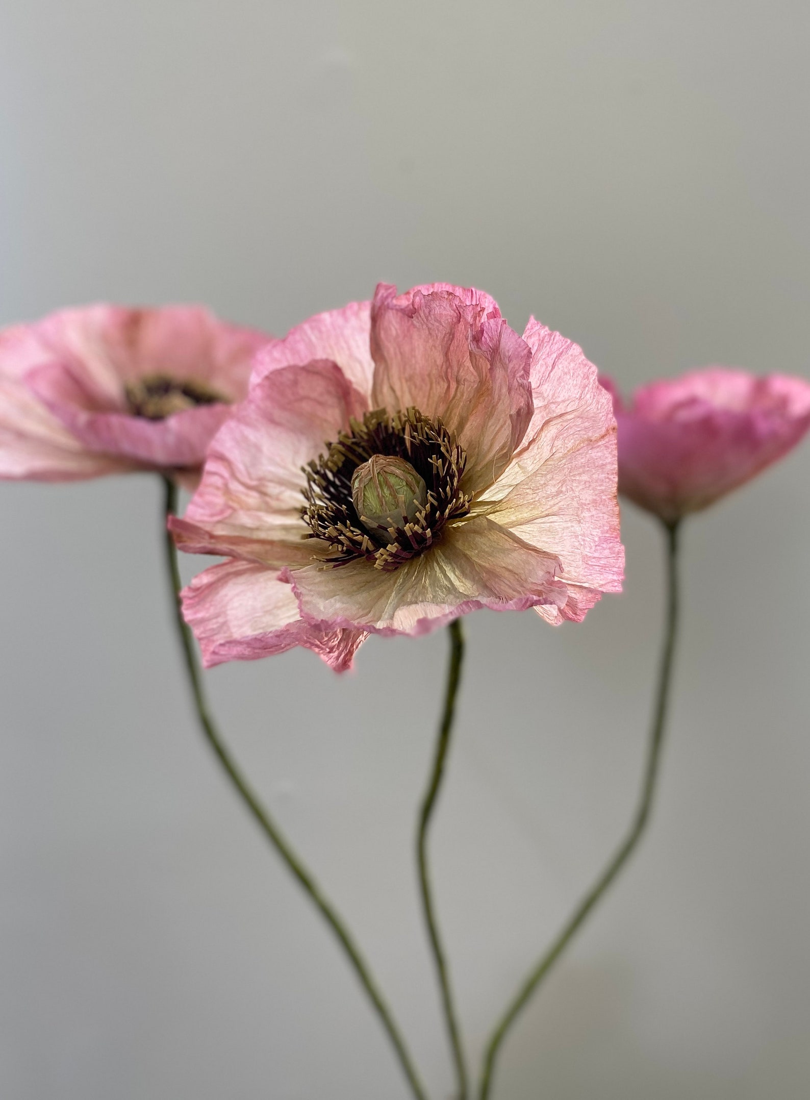 Set of 3 Handmade | MADE TO ORDER | Hand Dyed, Pink, Crepe Paper Poppy ...