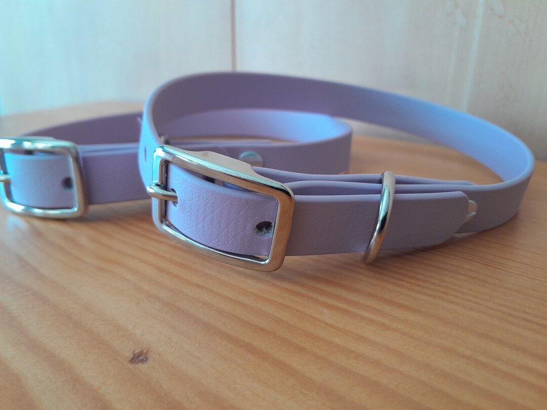 Biothane Dog Collar 3/4 Inch Wide for Indoor Outdoor Dog Adventures ...