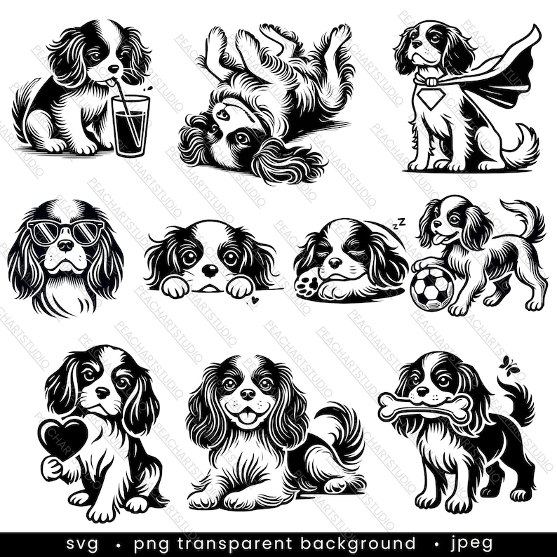 Cavalier King Charles Spaniel SVG & PNG Clipart Bundle: 10 Designs. Dog ...