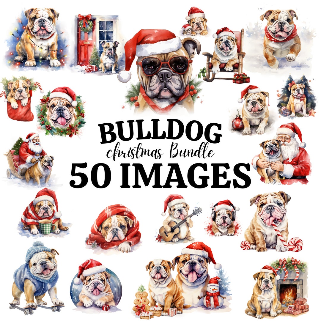 Christmas Dogs Watercolor Clipart Bundle- 50 PNG Festive Bulldog, Cozy ...