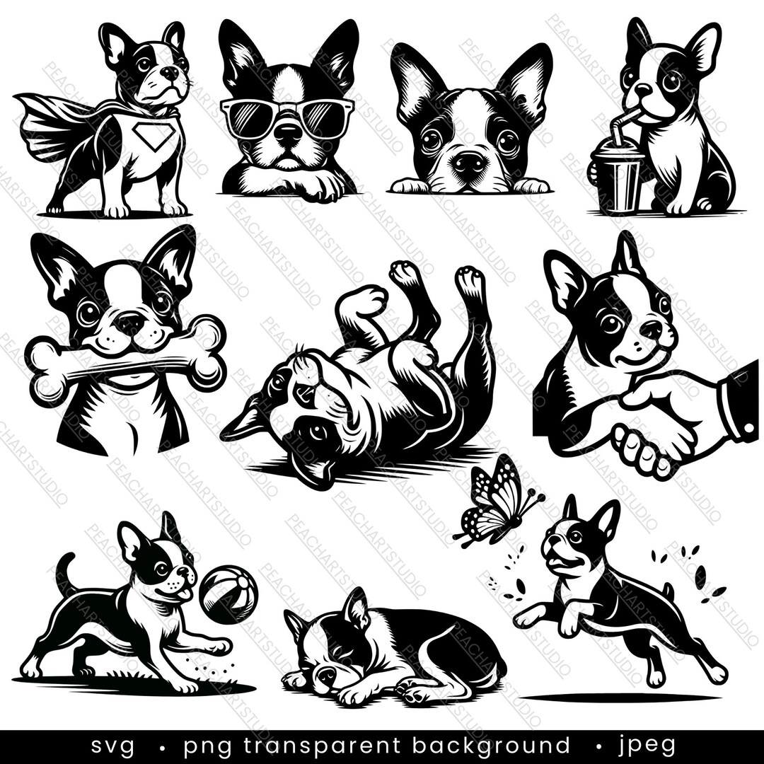 Peeking Boston Terrier SVG – Dog Clipart Designs (10 Images) - Etsy