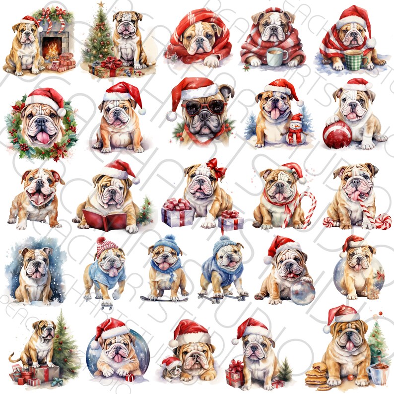 Christmas Dogs Watercolor Clipart Bundle- 50 PNG Festive Bulldog, Cozy ...