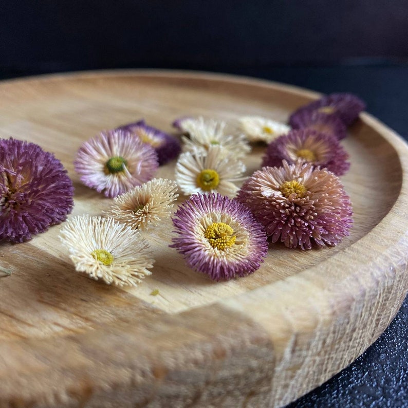 15 Pcs Dry Daisies Mix, 1-2 Cm, Small Dried Flowers, Flowers for ...