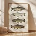 Retro Fish Species Print, Fish Wall Art, Fisherman Aesthetic Wall Decor ...