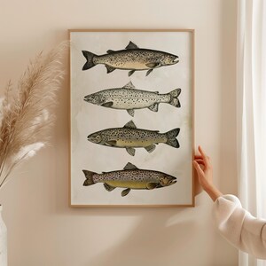 Retro Fish Species Print, Fish Wall Art, Fisherman Aesthetic Wall Decor ...