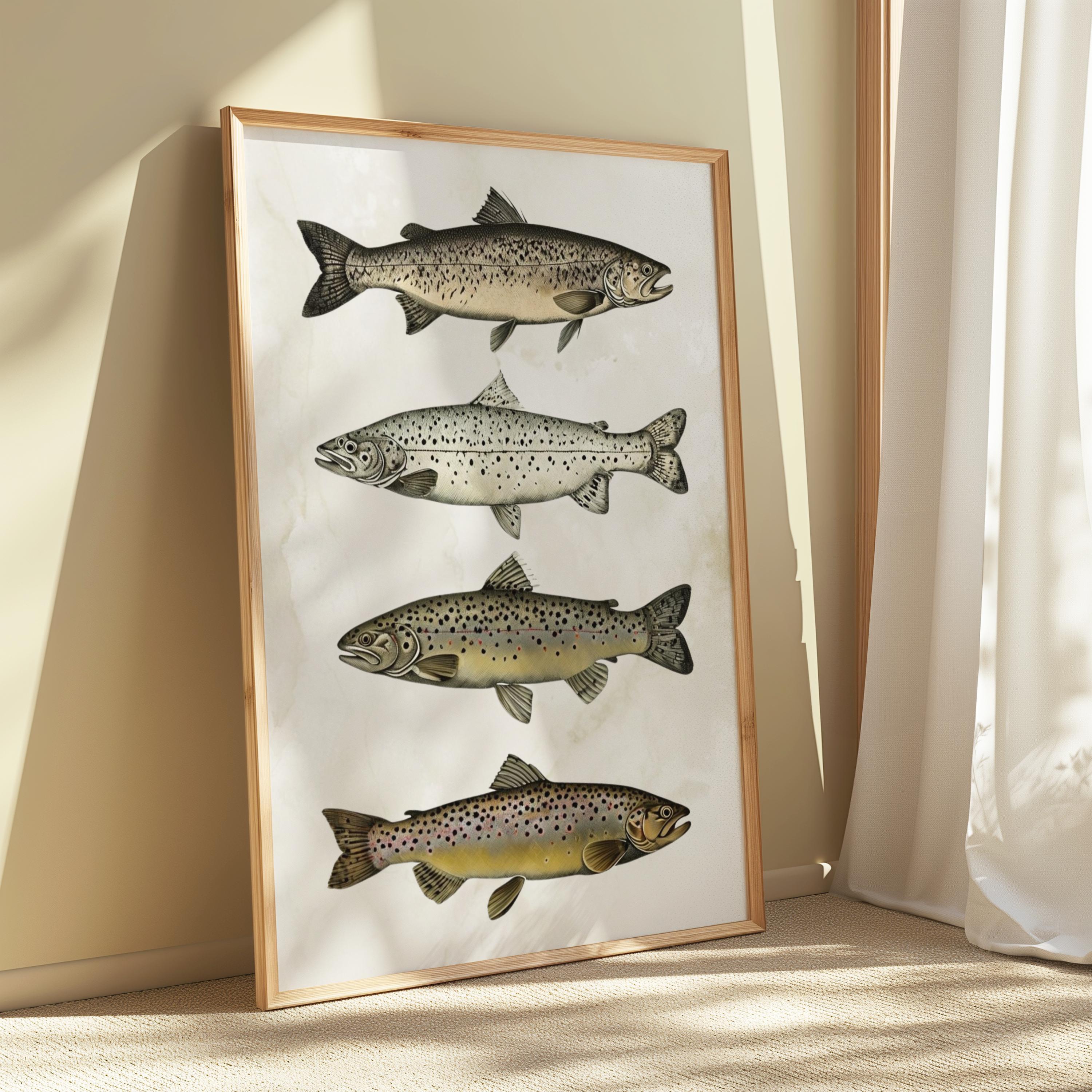 Retro Fish Species Print, Fish Wall Art, Fisherman Aesthetic Wall Decor ...