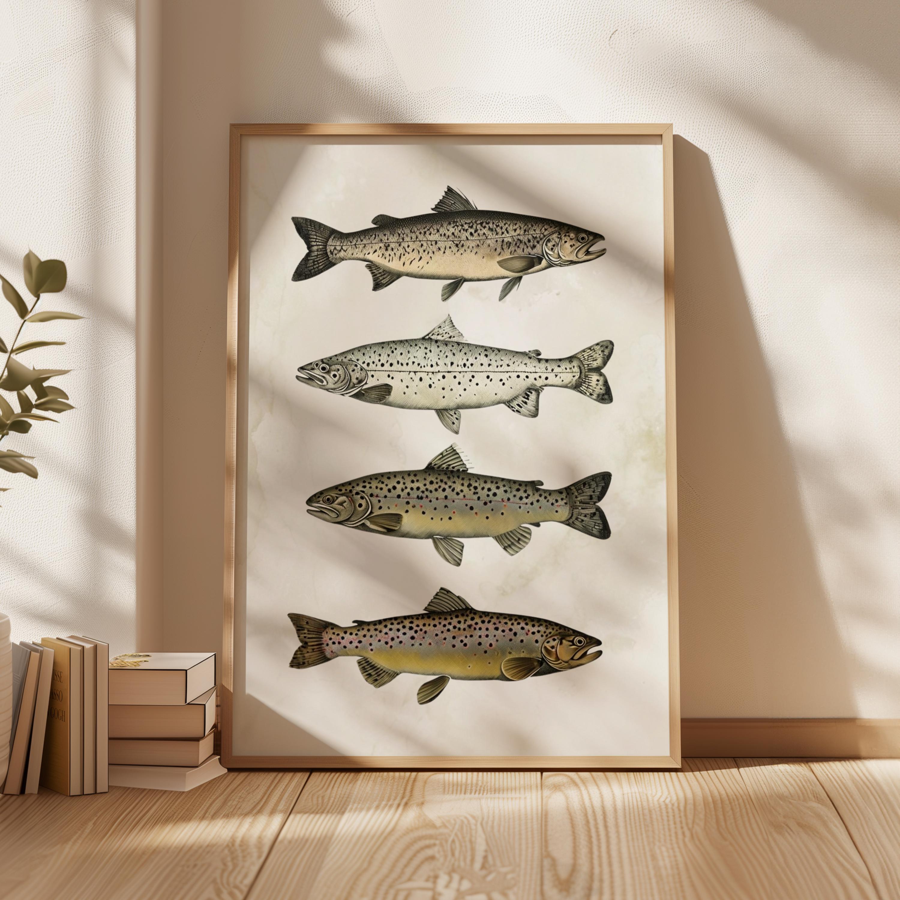 Retro Fish Species Print, Fish Wall Art, Fisherman Aesthetic Wall Decor ...