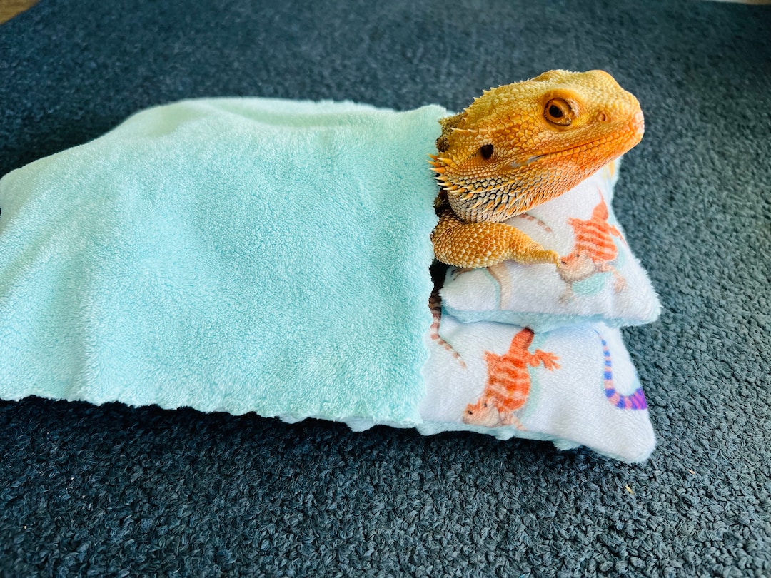 Bearded Dragon Bed With Pillow & Blanket: Plush Reptile Pet Bed - Etsy