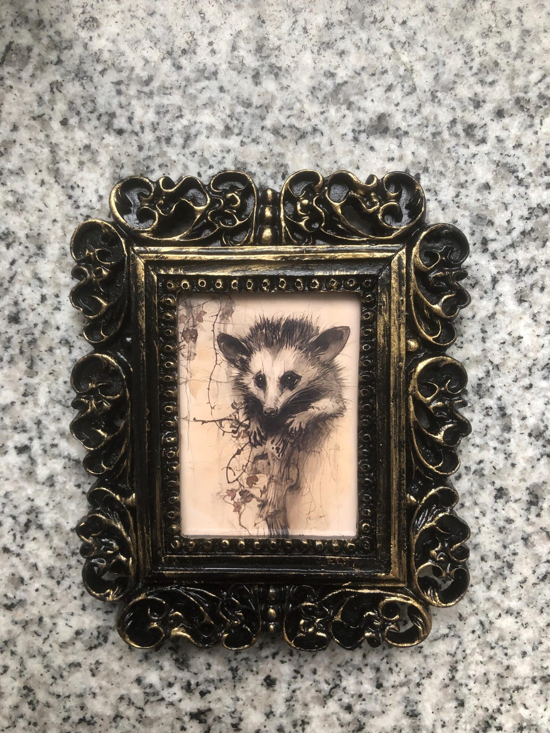 Opossum Baroque Frame, Complete With Prints, Black and Gold Finish ...