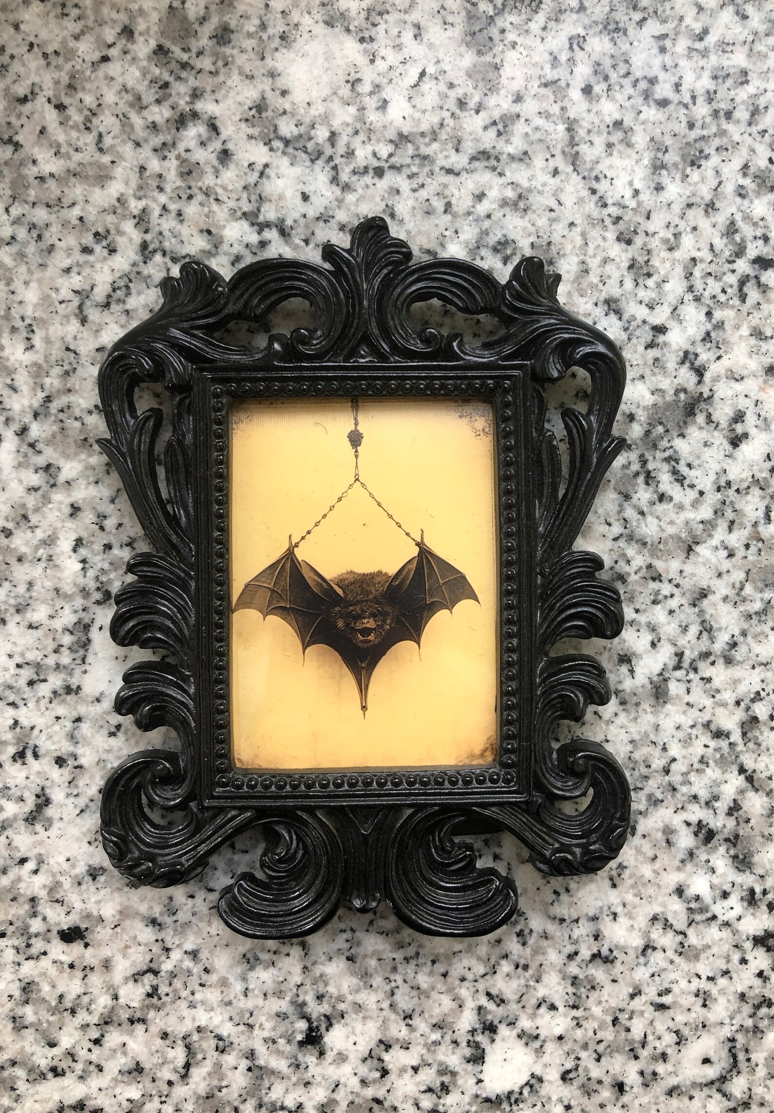 Bat Baroque Frame, Complete With Prints, Black and Gold Finish, Gothic ...