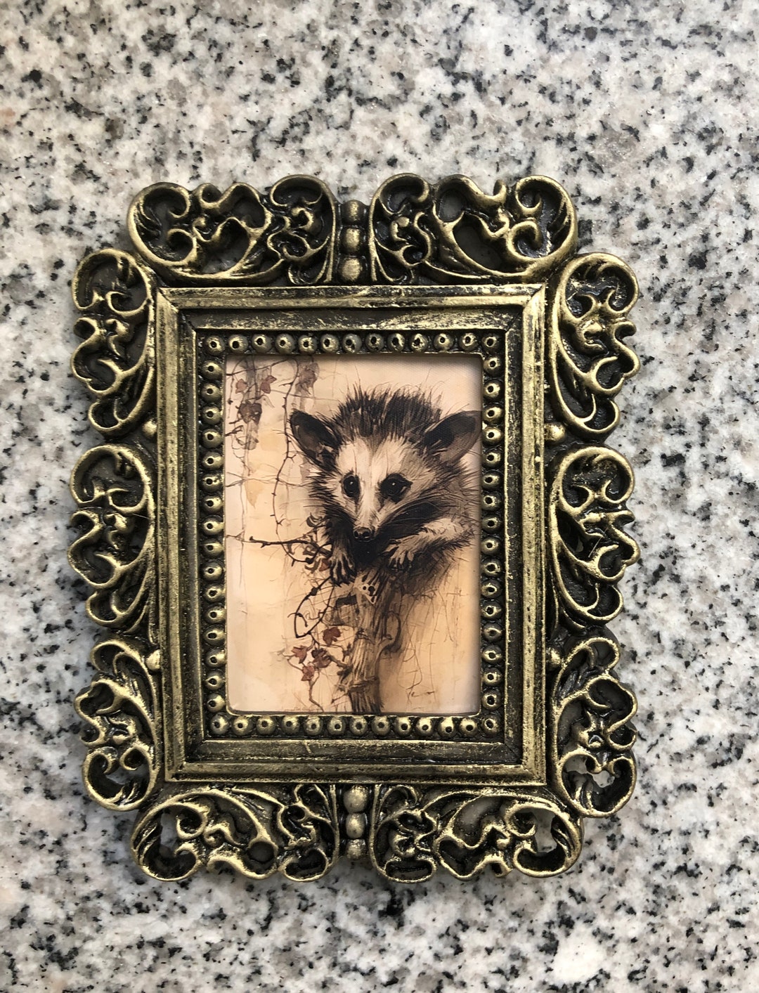 Raccoon Baroque Frame, Complete With Prints, Black and Gold Finish ...