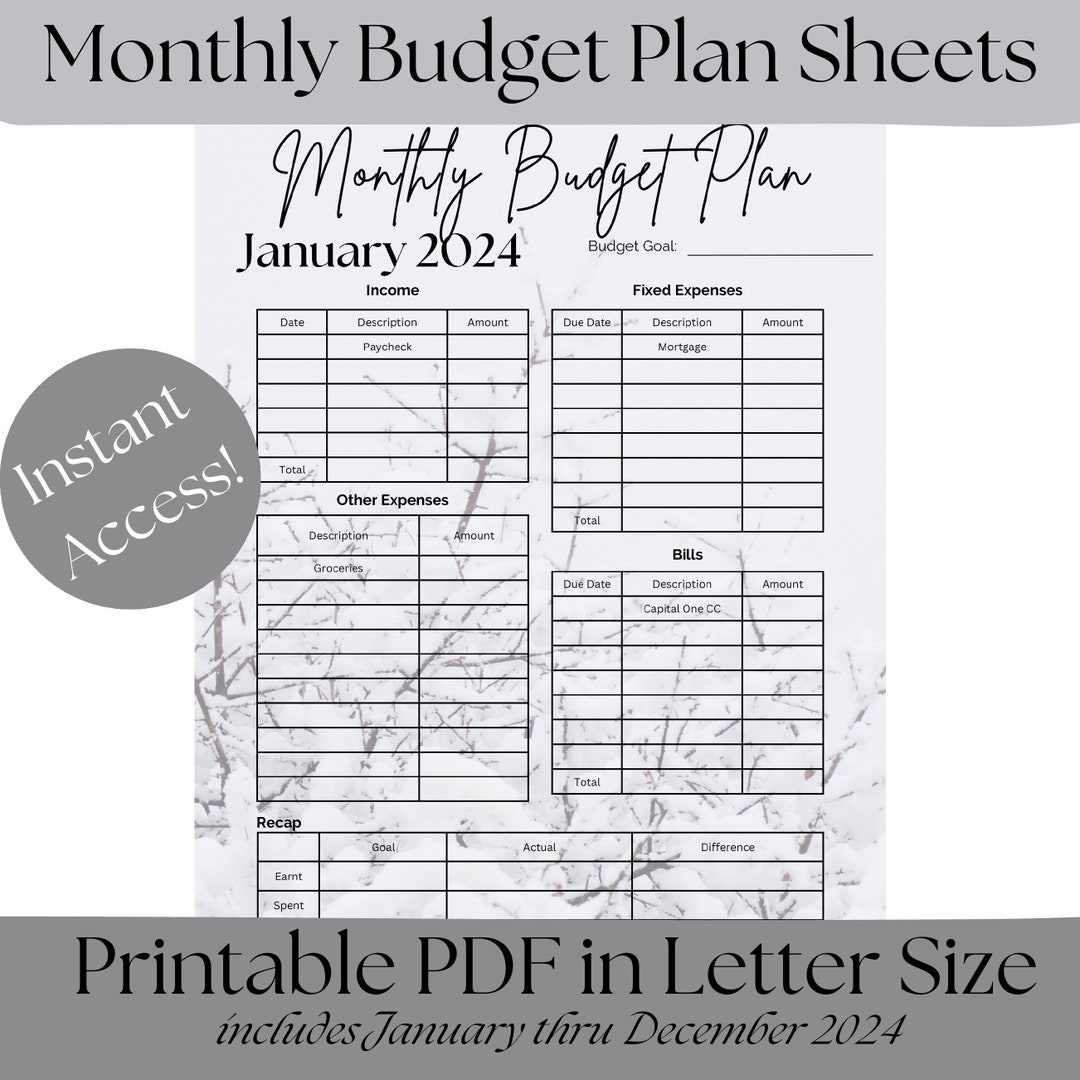 2024 Monthly Budget Planner Sheet 2 Bonus Sheets nov&dec2023 - Etsy