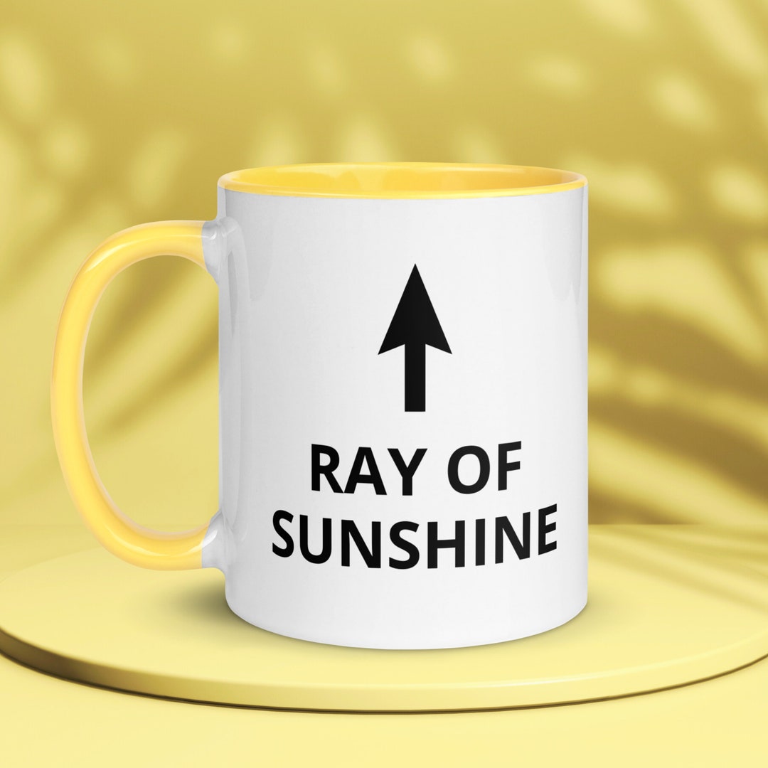 Ray of Sunshine Mug Sarcastic Mug Joke Gift Joke Mug Best Friend Gift ...