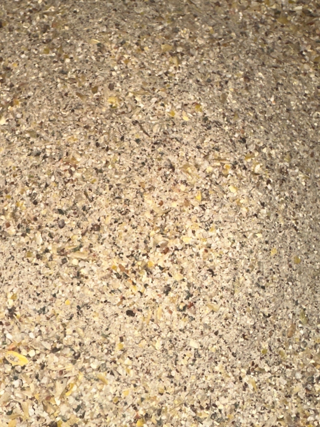 Premium Worm Chow 8oz - Etsy