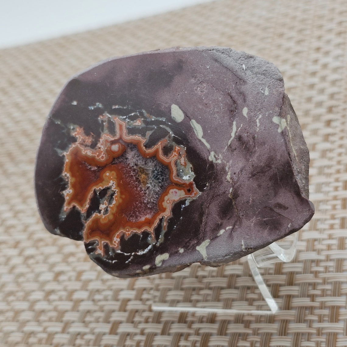 Montana Dryhead Agate Polished Specimen - Etsy