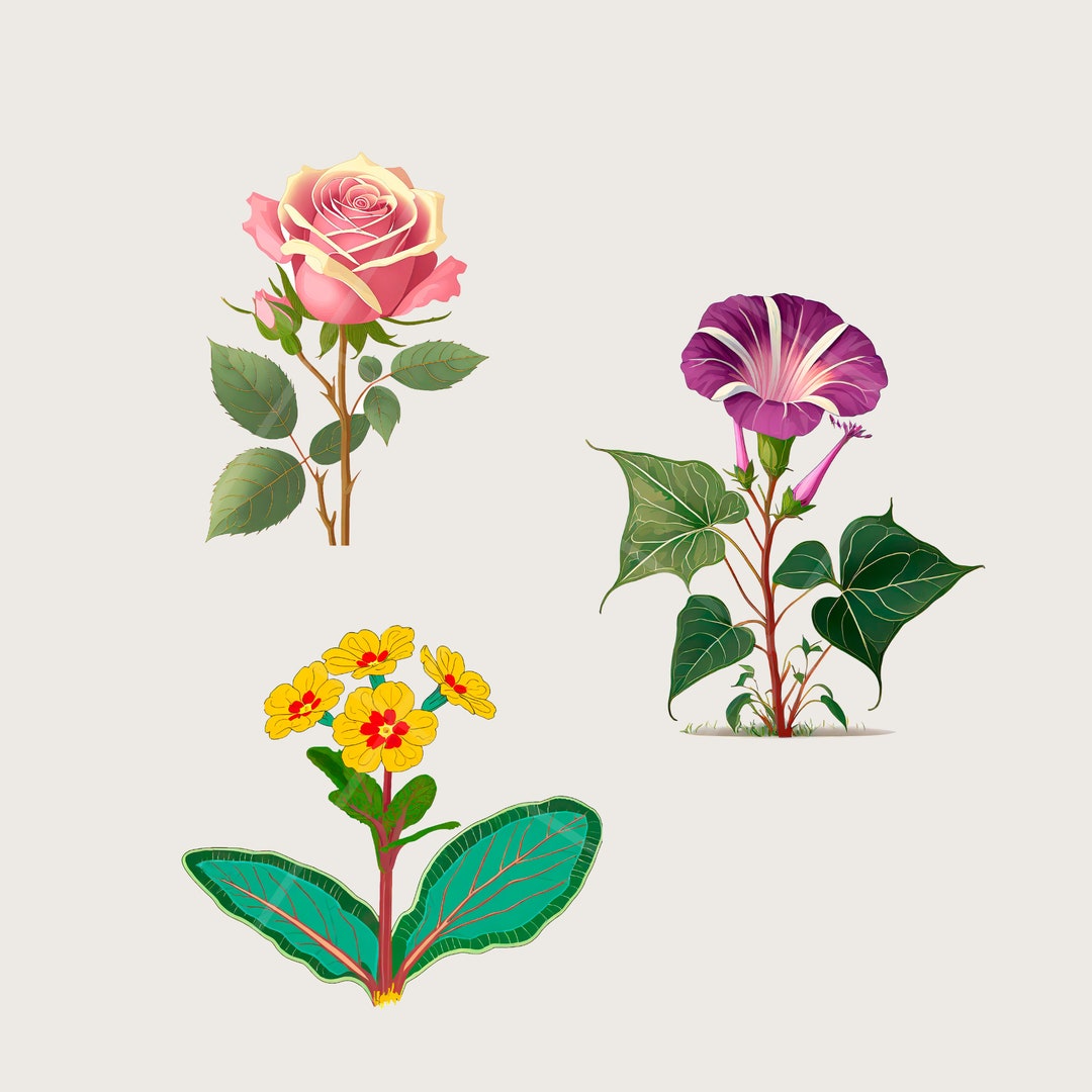 Elegant Birth Month Flowers: Vintage Art Deco Watercolor Botanica SVG ...