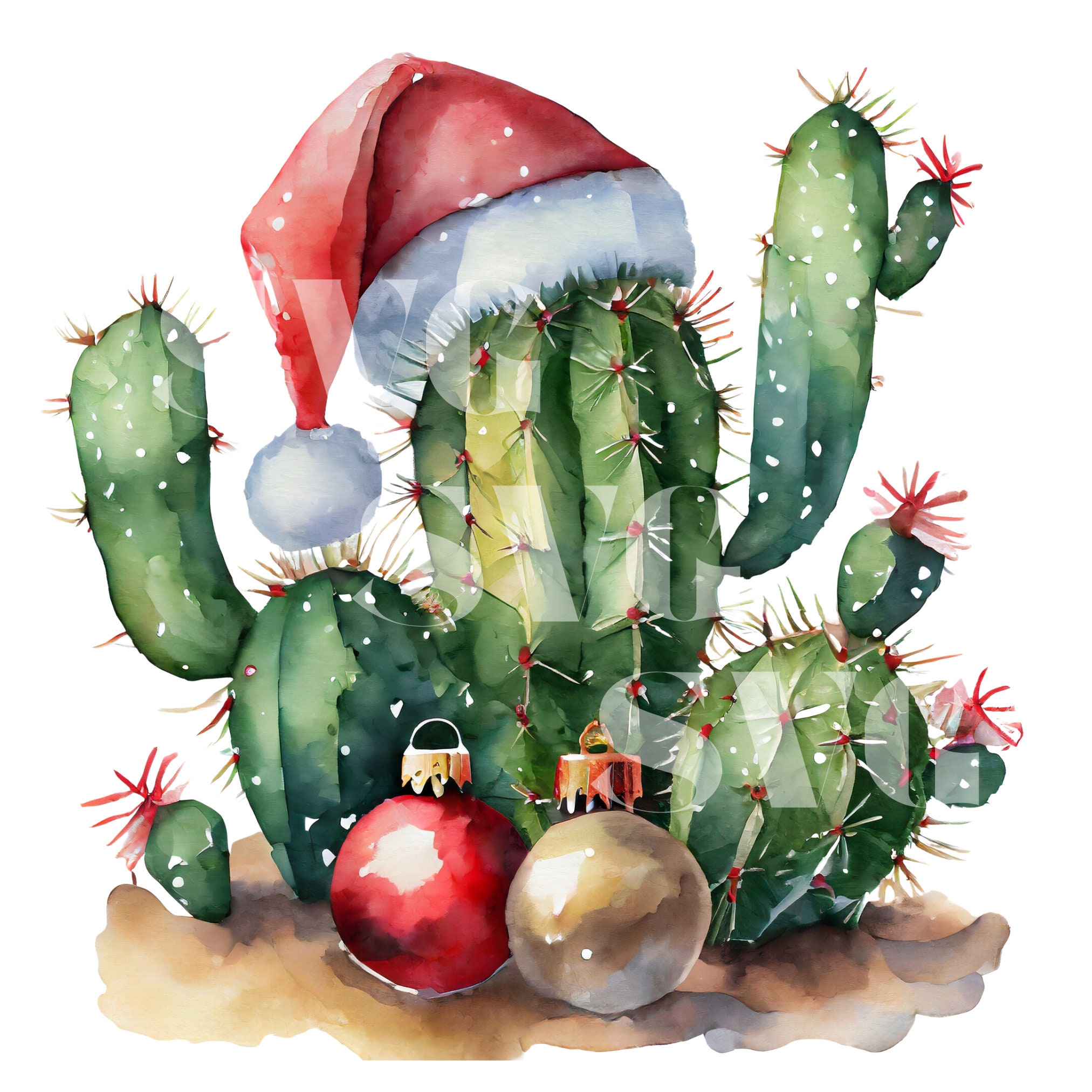 Cactus SVG PNG, Christmas Cactus Santa Hat, Christmas Cactus Clip Art ...