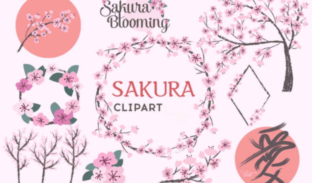 Sakura Cherry Blossom Clipart Bundle - Etsy