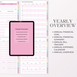 PLR Budget Planner, PLR 80 Budgeting Sticker Bundle, Everyday Stickers ...