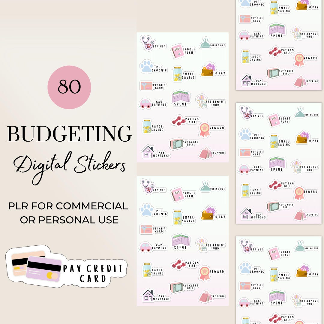 PLR Budgeting Digital Stickers, Digital Planner Stickers, Finance ...