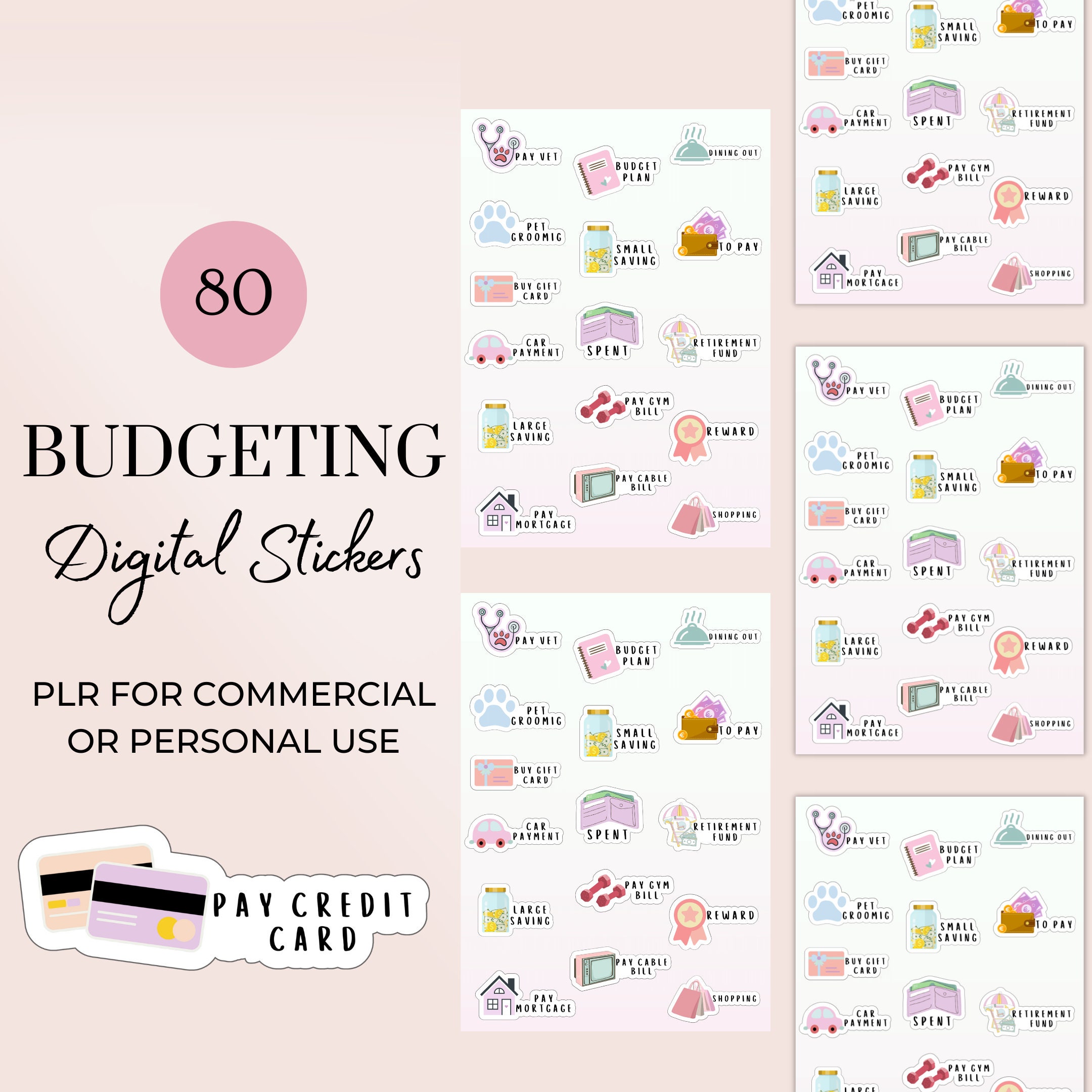 PLR Budgeting Digital Stickers, Digital Planner Stickers, Finance ...