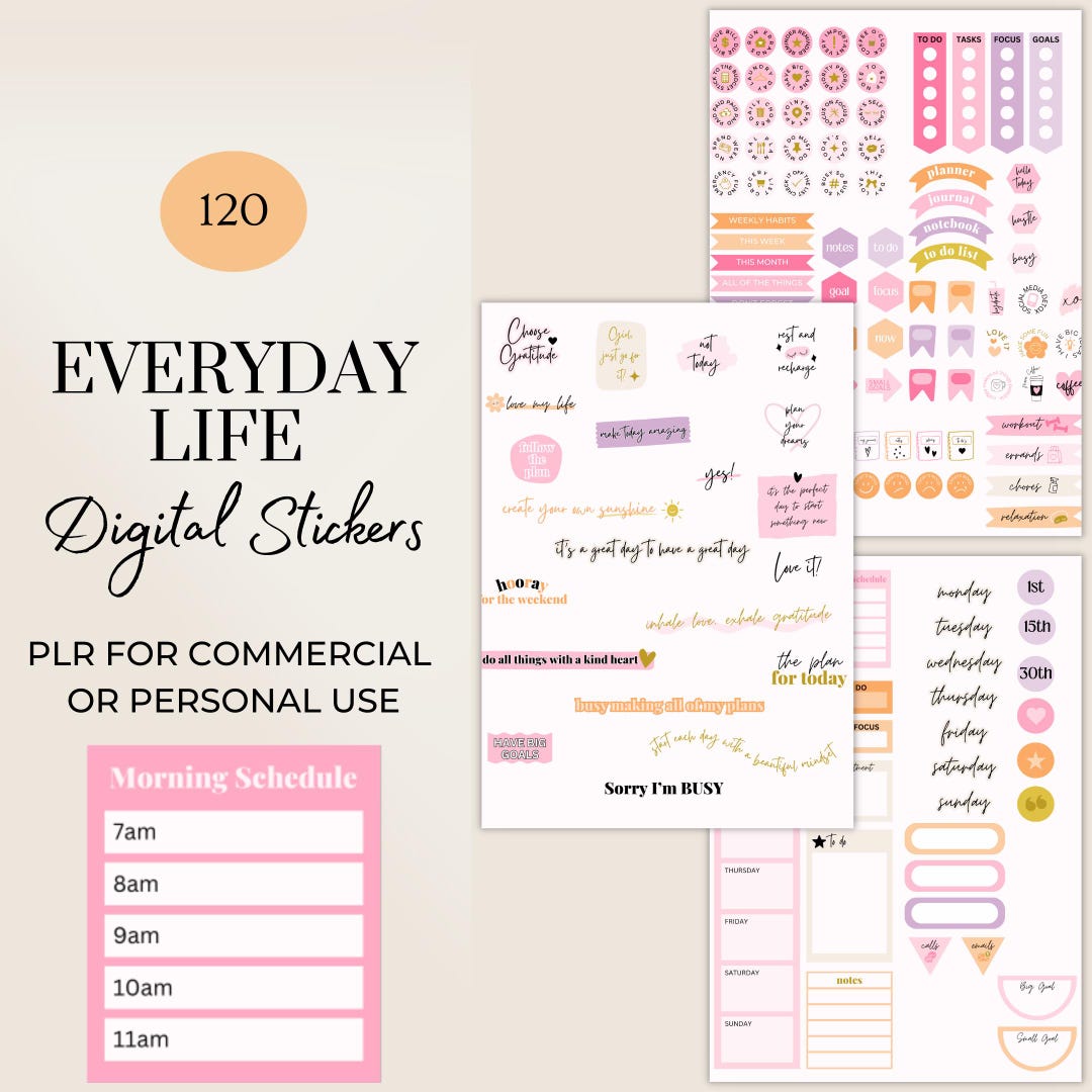 PLR Everyday Digital Stickers, Daily Digital Planner Stickers ...