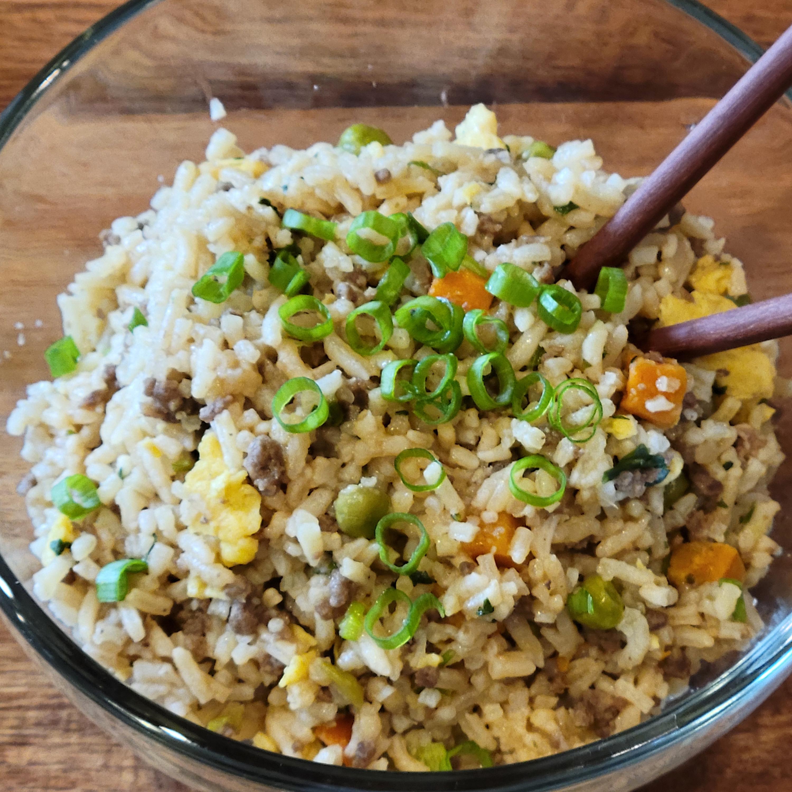 Freeze-dried Beef Fried Rice: Gourmet Camping Meal, Emergency Food - Etsy