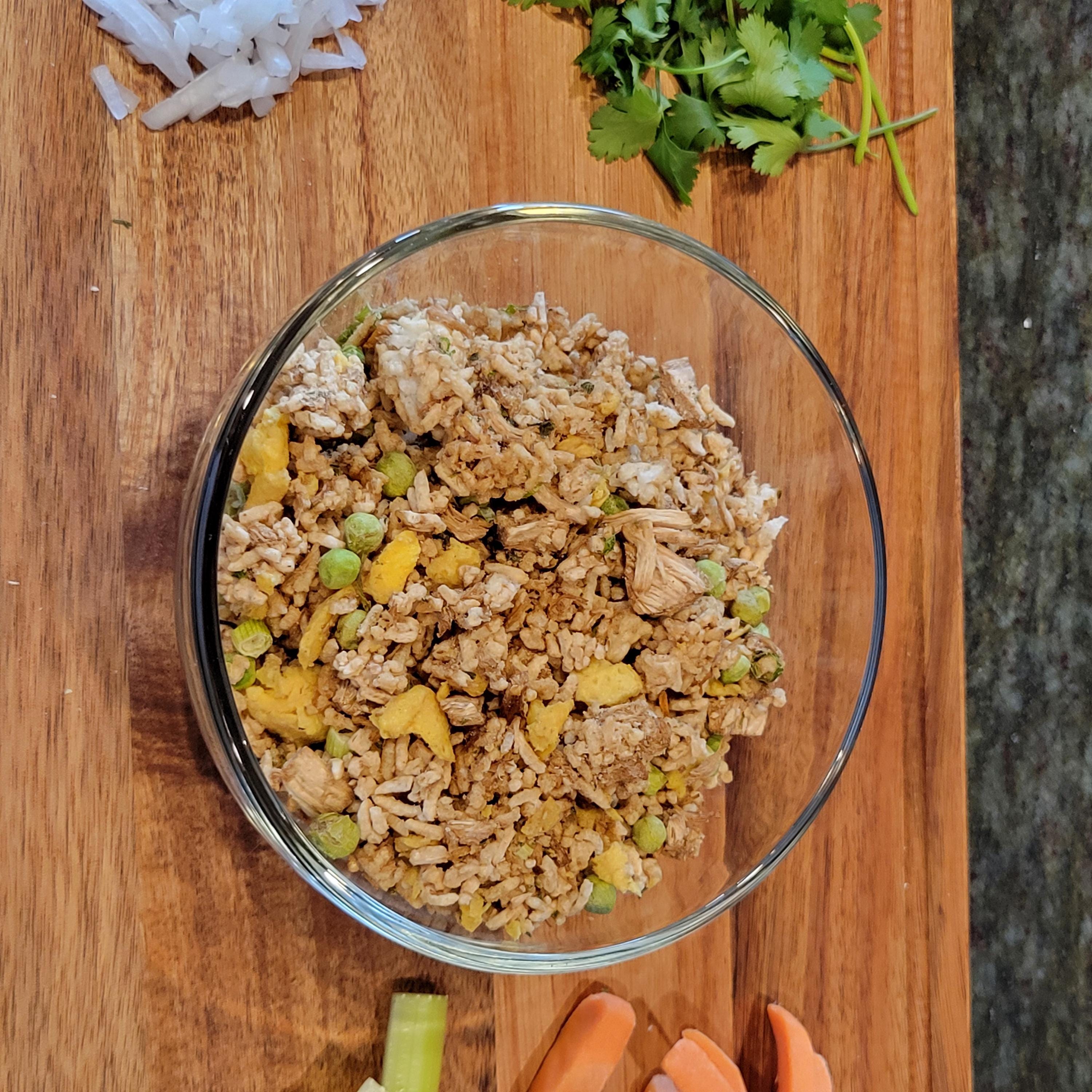 Freeze-dried Chicken Fried Rice - Gourmet Camping Food, Emergency ...
