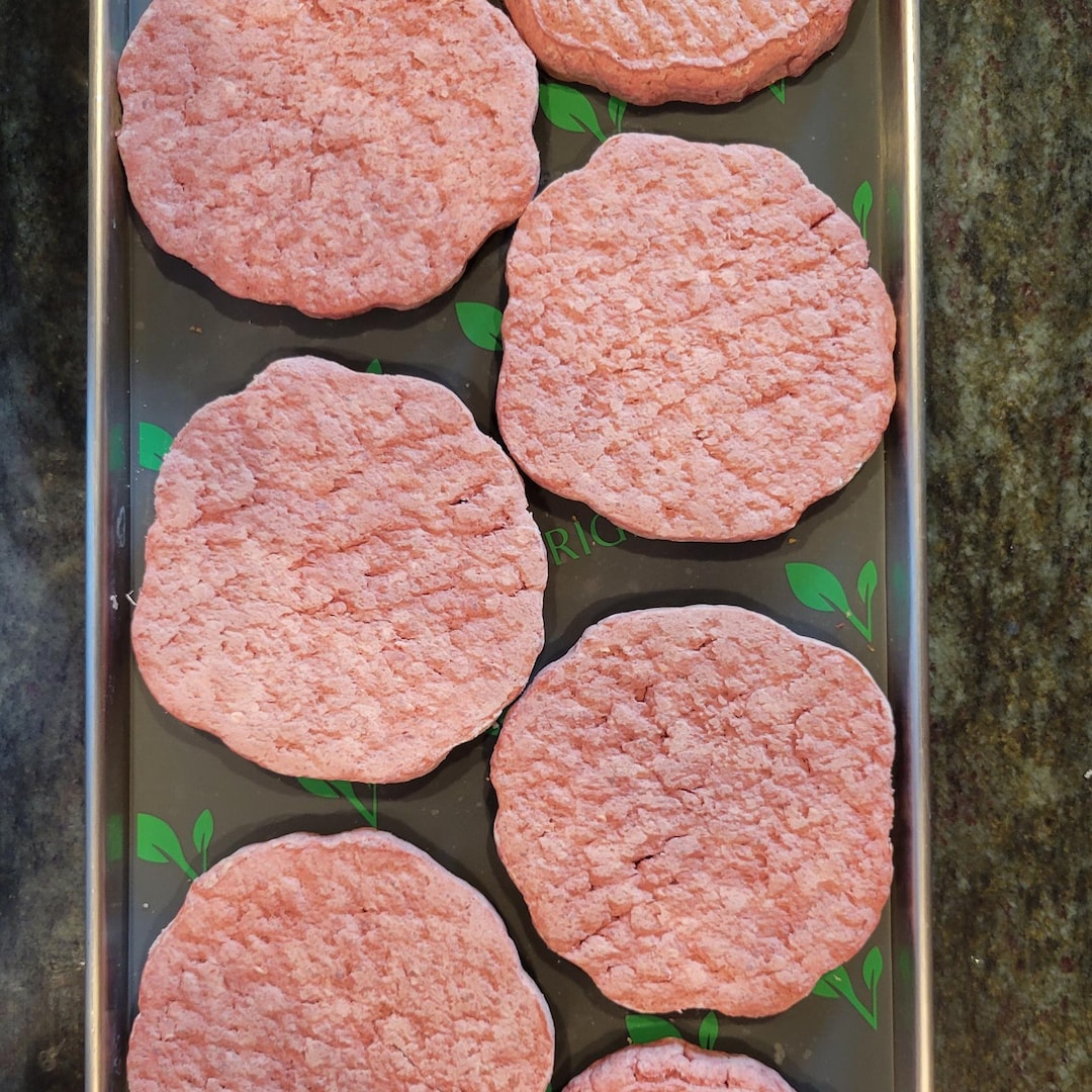 Freeze Dried Premium 1/3 Lb 80% Lean, RAW, Hamburger Patty ...