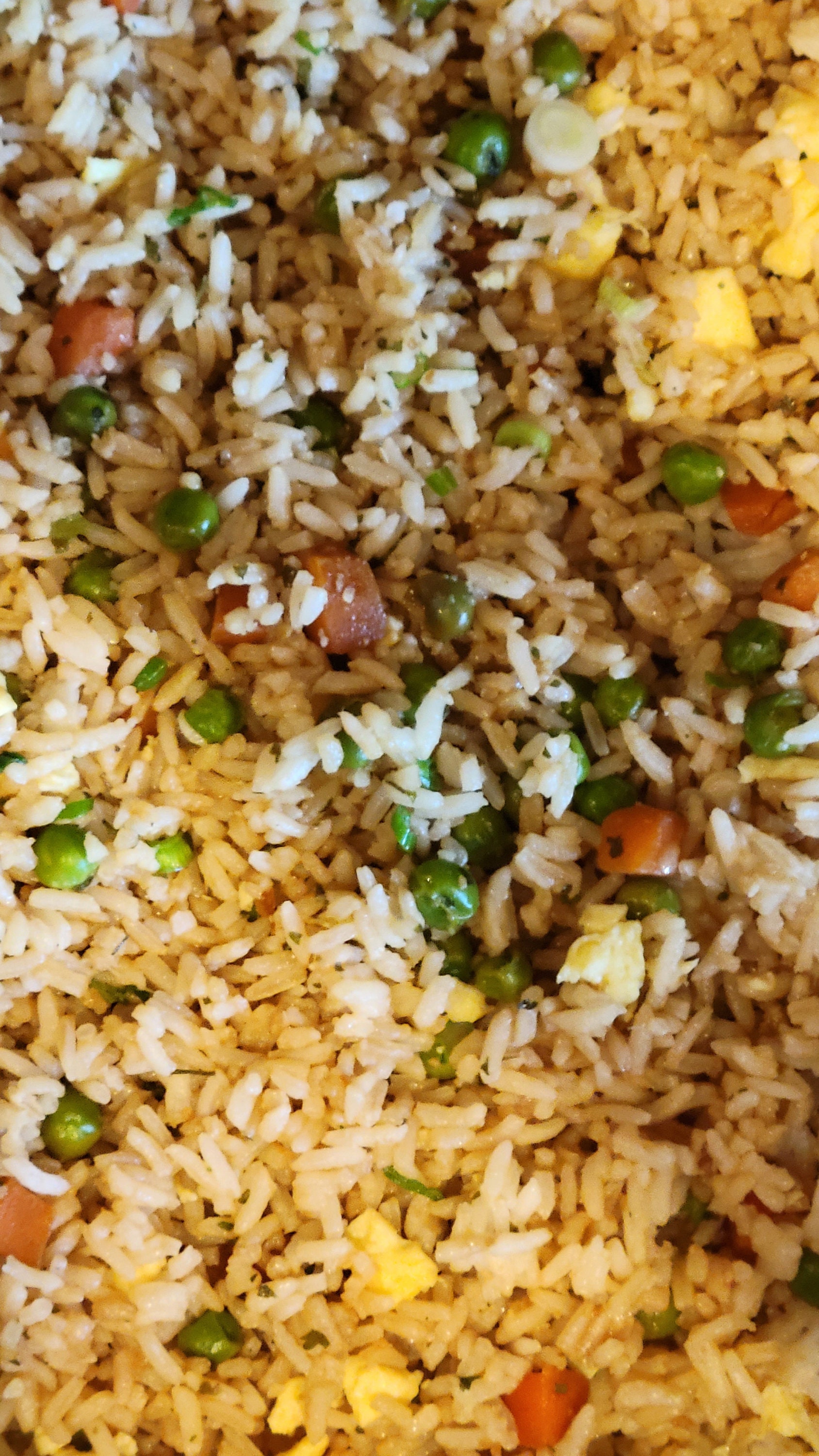 Freeze-dried Beef Fried Rice Gourmet Camping Food, Emergency ...