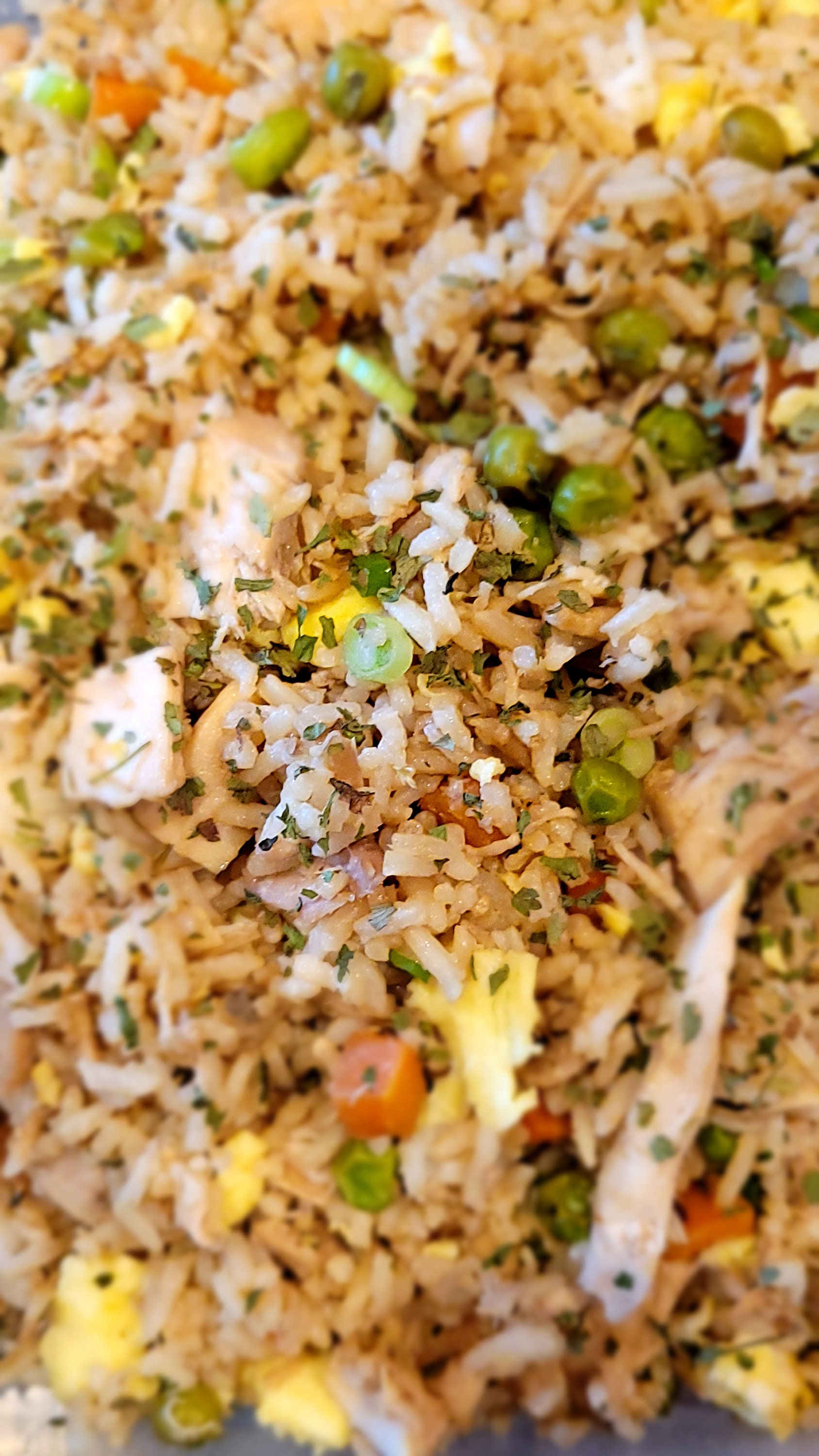 Freeze-dried Chicken Fried Rice Gourmet Camping Food, Emergency ...