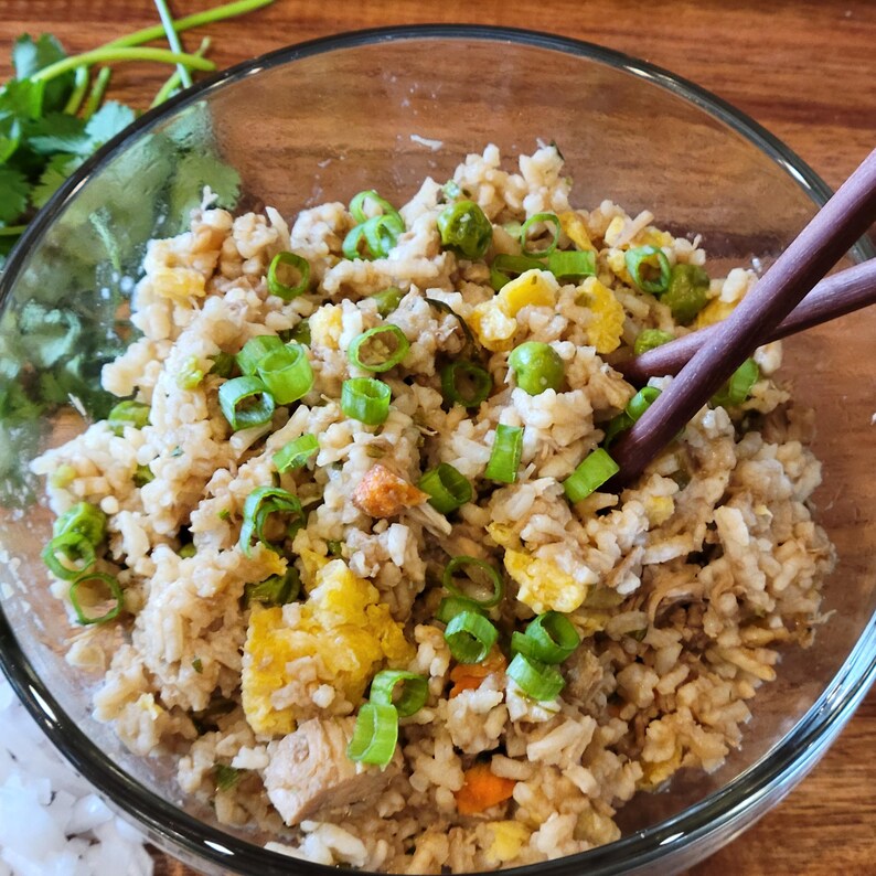 Freeze-dried Chicken Fried Rice - Gourmet Camping Food, Emergency ...