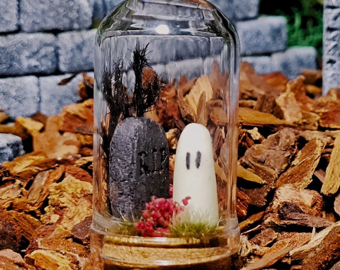 Ghost Story Box / Shadow Box Cemetery Diorama - Etsy