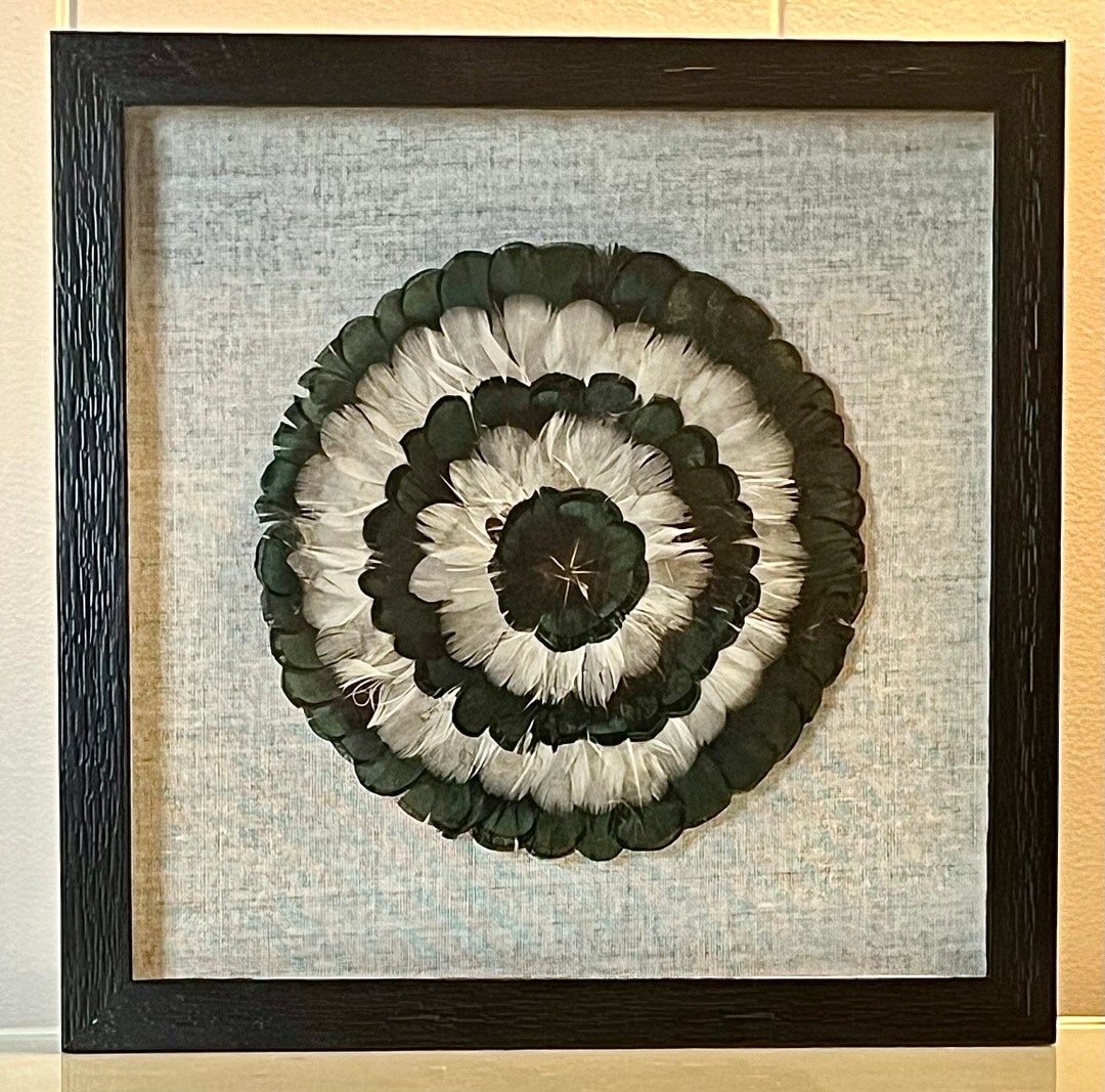 Feather Shadow Box / Feather Circle Shadow Box / Emerald - Etsy