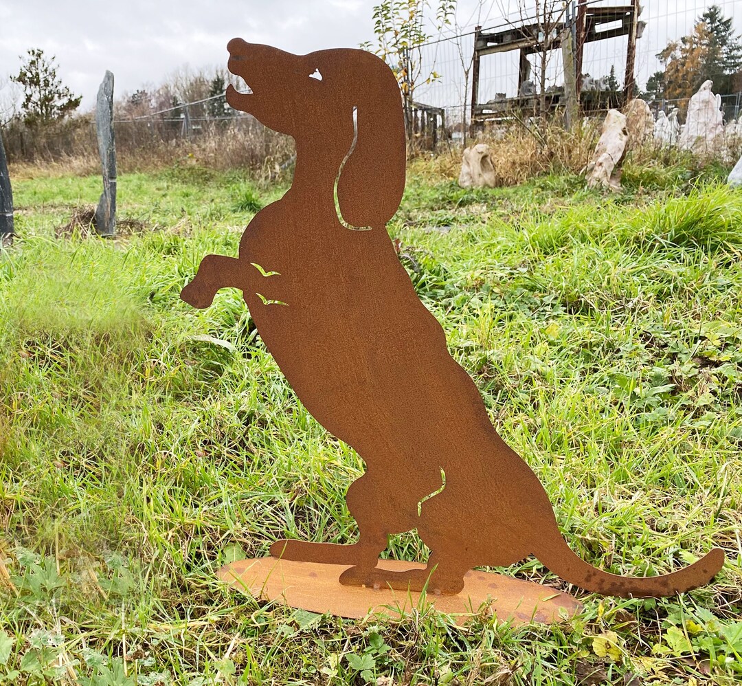 Noble Rust Dog Dachshund Doing a Man 50 X 50 Cm on Plate Garden ...