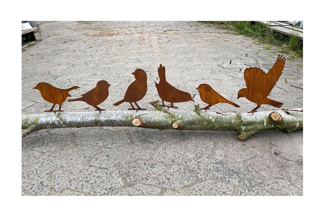 Edelrost Set of 6 Birds With Screw for Screwing Into Wood Garden ...