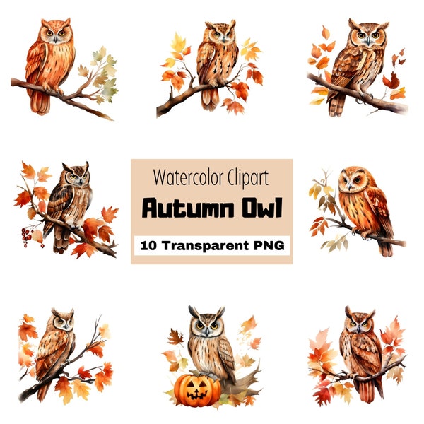 Owl Digital Clip Art - Etsy