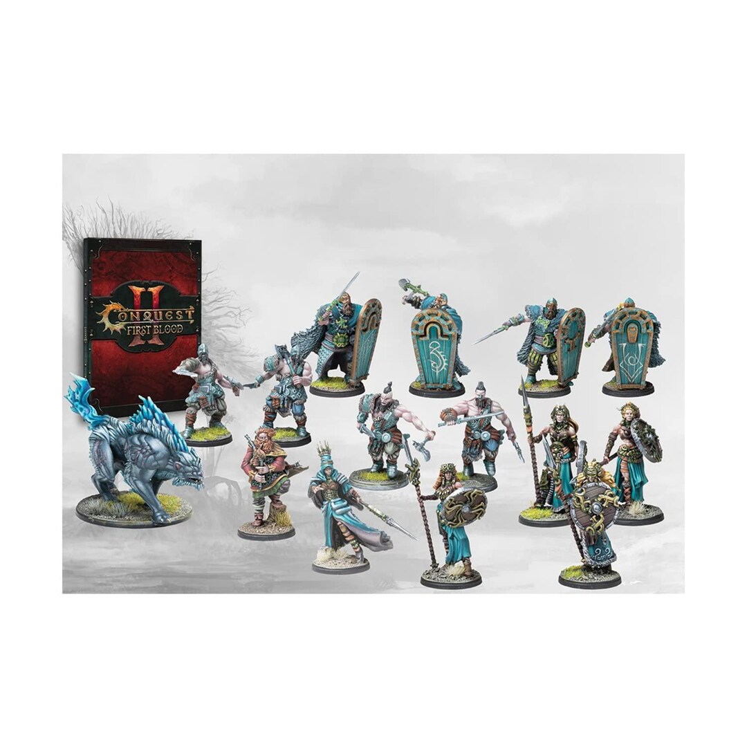 Nords Painted Army Commission Conquest Last Argument of Kings - Etsy