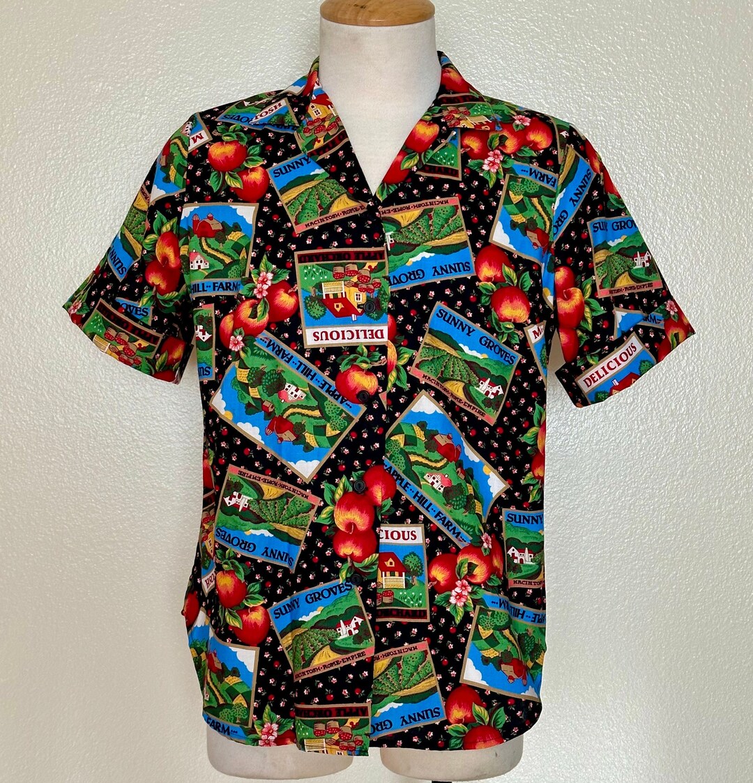 Vintage 2000s Joni-lyn of Texas Whimsical Farm Life Motif Buttoned Down ...