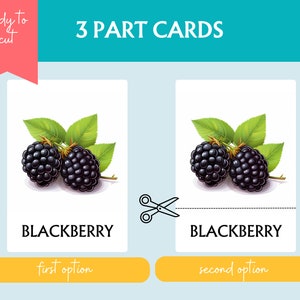 30 Magical Montessori Fruit Flash Cards PDF, Fun Montessori Cards ...