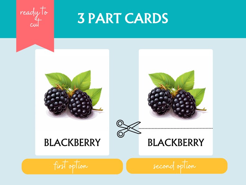30 Magical Montessori Fruit Flash Cards PDF, Fun Montessori Cards ...