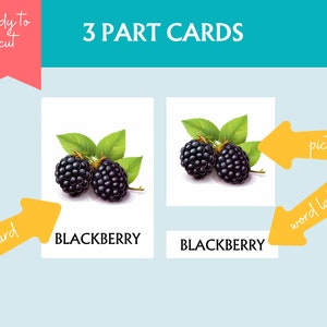 30 Magical Montessori Fruit Flash Cards PDF, Fun Montessori Cards ...